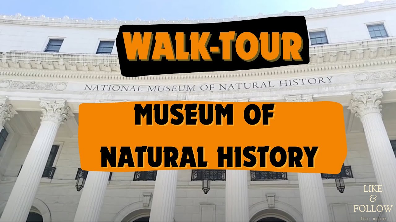 2024 National Museum of Natural History | Walk Tour | Manila PH - YouTube