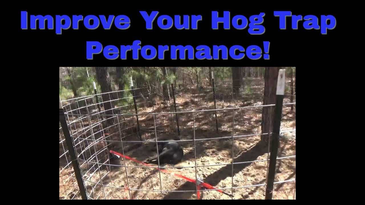 DIY HOG TRAP : 3 Tips To Catch more Swine! - YouTube