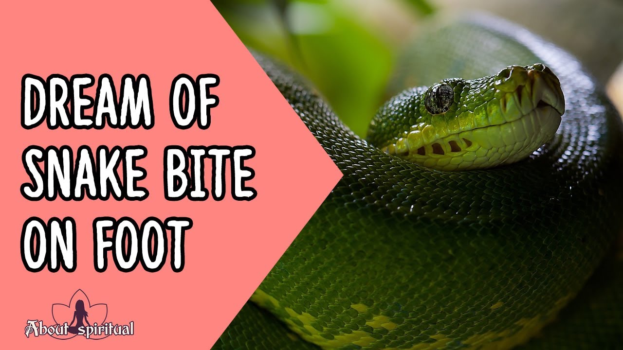 Dream Of Snake Bite On Foot - YouTube