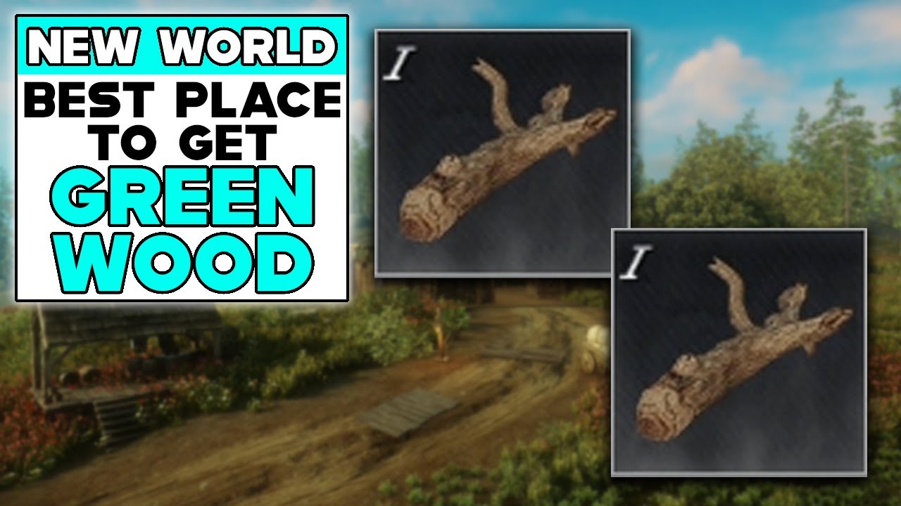 NEW WORLD BEST PLACE TO GET GREEN WOOD - YouTube