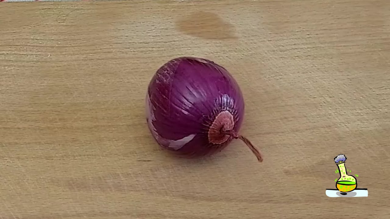 Cómo encurtir cebollas - YouTube