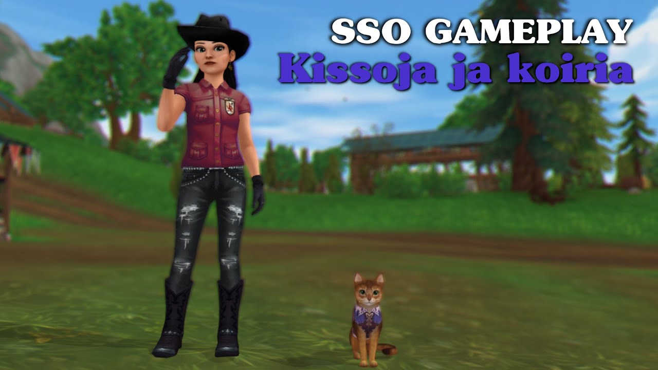 Kissoja ja koiria - SSO - YouTube