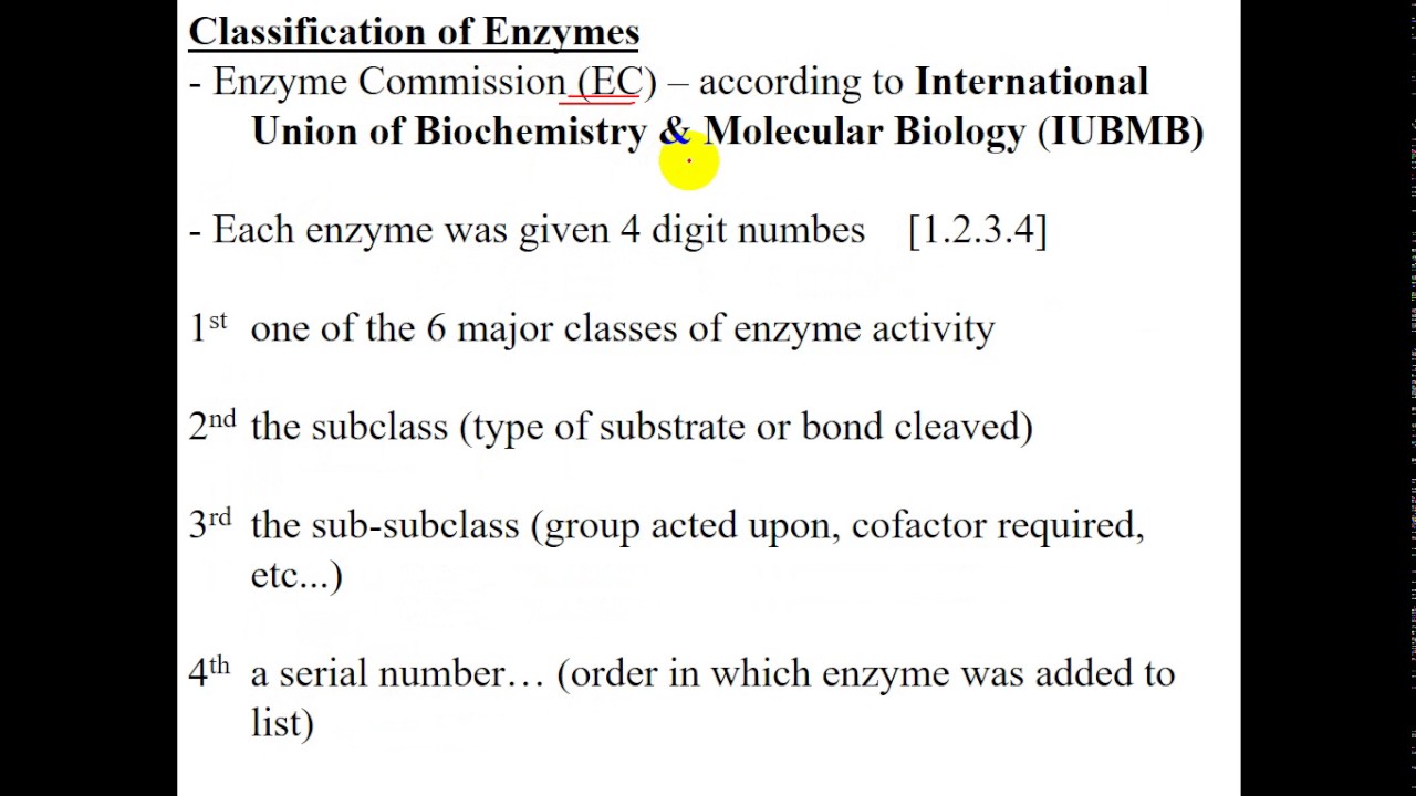 Biochem (Second) - dr. sameer -- Enzyme (1) - YouTube
