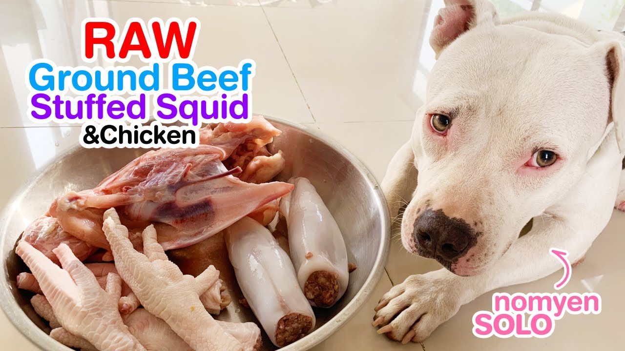 nomyen SOLO eats RAW Ground Beef stuffed squid, chicken carcass and ...