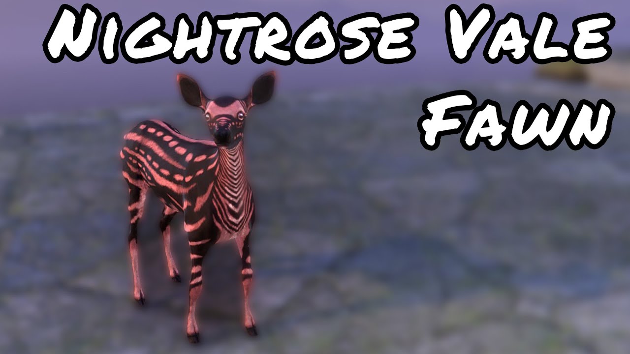 ESO Nightrose Vale Fawn Pet, February 2023 Daily Login Reward - YouTube