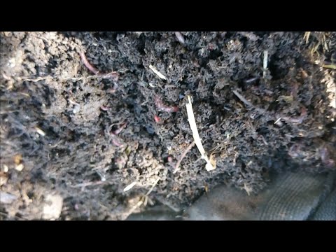 This Is What Healthy Soil Looks Like
