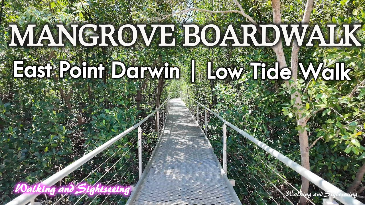 DARWIN EAST POINT RESERVE MANGROVE BOARDWALK LOW TIDE WALKING TOUR 2024 ...
