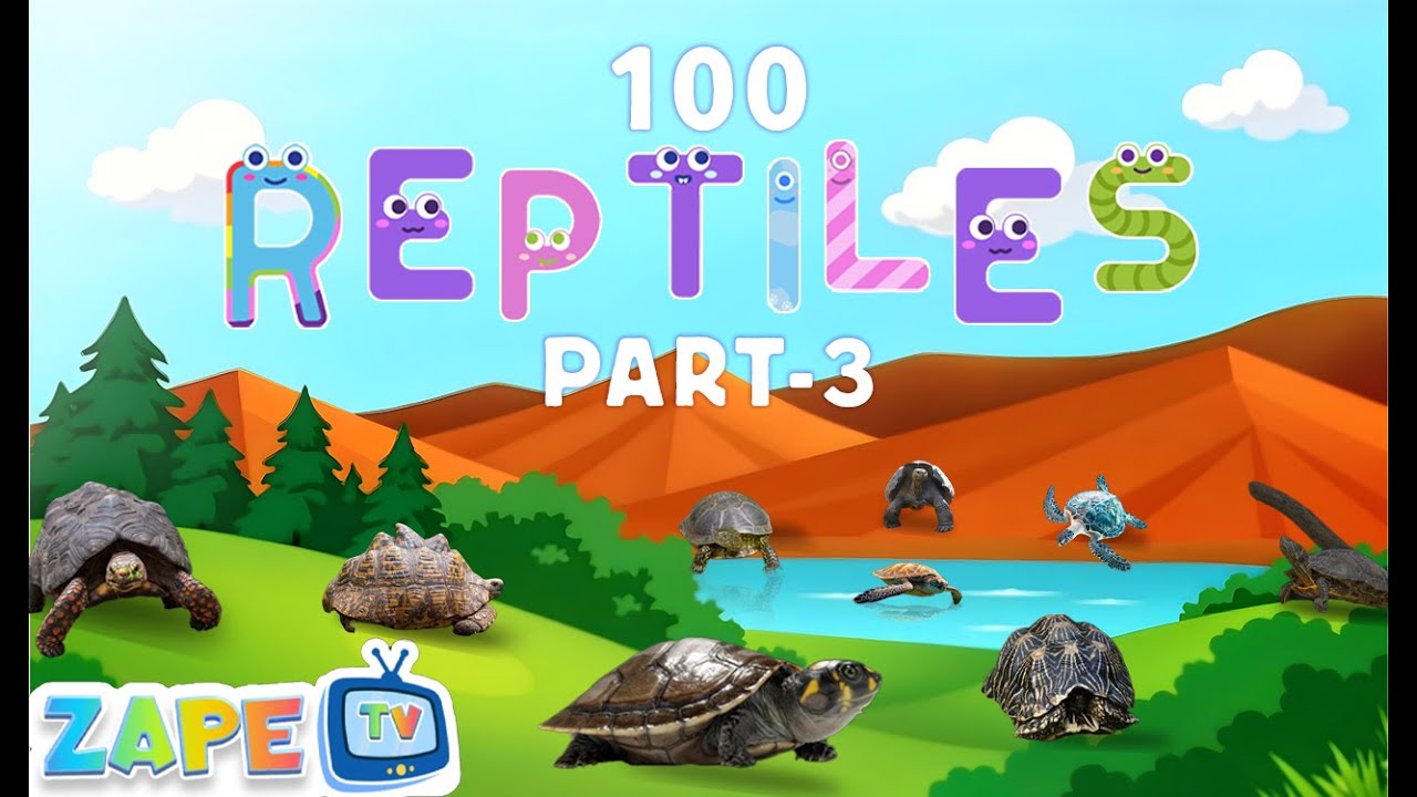🌟 Reptile Wonderland - Part 3 | A Fun Turtle and Tortoise Song | Learn ...