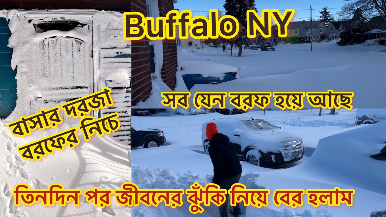 তিনদিন পর জীবনের ঝুঁকি নিয়ে বাসাথেকে বাহির হলাম । বাসার সামনের দরজা বরফে নিচে । Buffalo NY ...