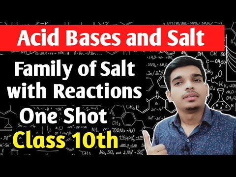 Family of Salt class 10th with reactions | ch 2 acid bases and salt ...