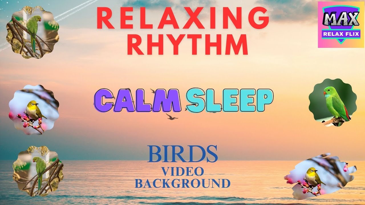 Calm Sleep amazing Rhythm | Relaxing Music | Birds Colorful Life | Max ...