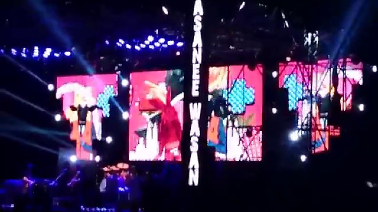 Asanee-Wasan (อัสนี-วสันต์) - Rock on the Lake 2015 - YouTube