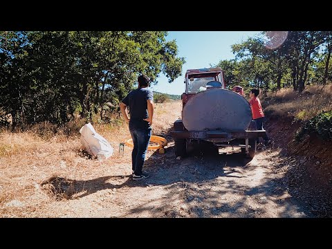 Köyden ilk suyumuzu aldık! - Tarla İşleri | Lavanta Hasadı | Kırsal Yaşam