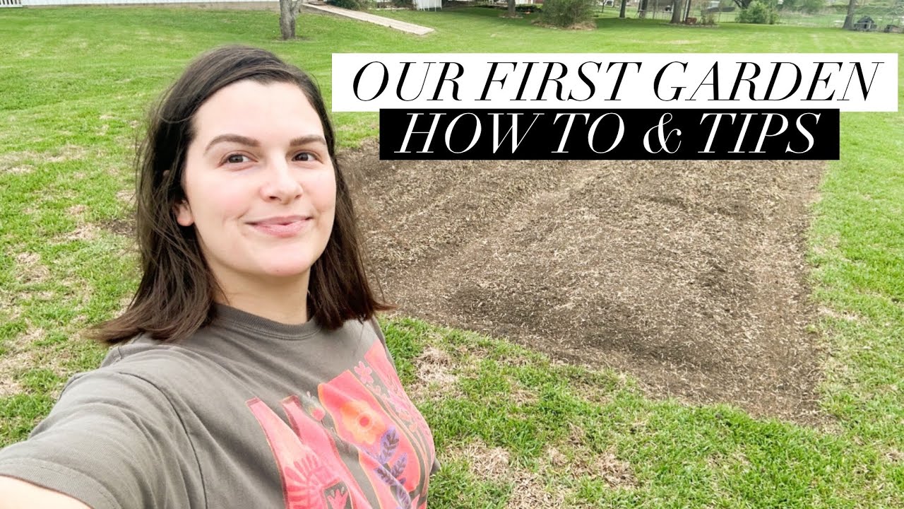 How To Garden Vegetables For Beginners Our First Gardening Experience The Simplified Saver