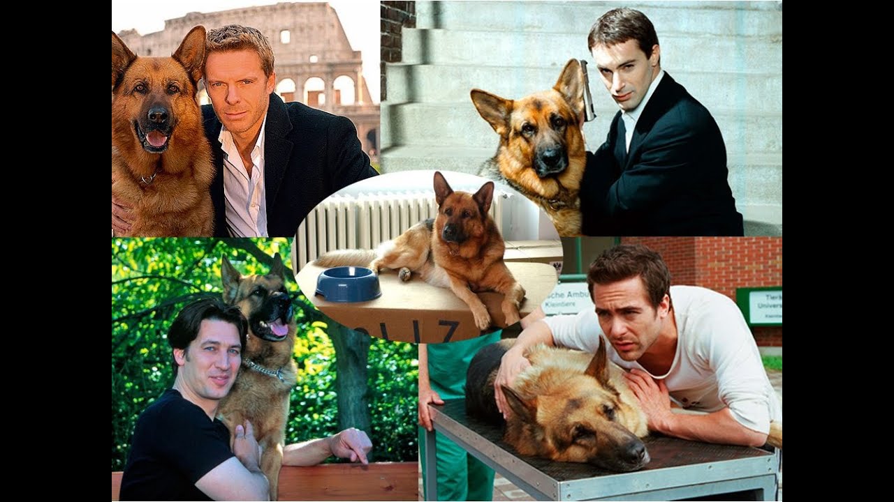 Rex, un policía diferente Temporada 4 Capítulo 5 El nuevo - YouTube