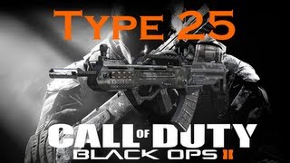 Type 25 Black Ops 2