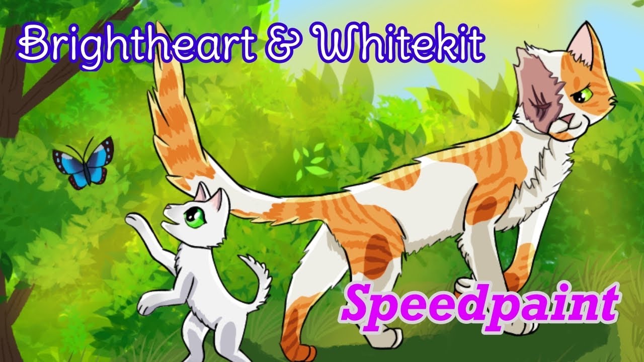 Brightheart & Whitekit || Warrior Cats speedpaint || - YouTube