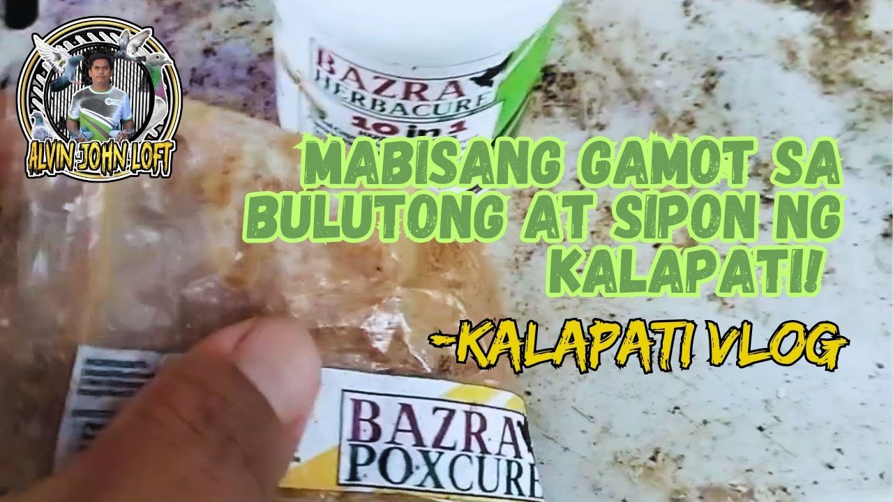 Mabisang Gamot sa Bulutong at Sipon ng Kalapati! – Kalapati Vlog - YouTube