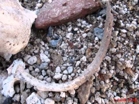 Tombaroli in azione a Gioiosa Guardia - YouTube