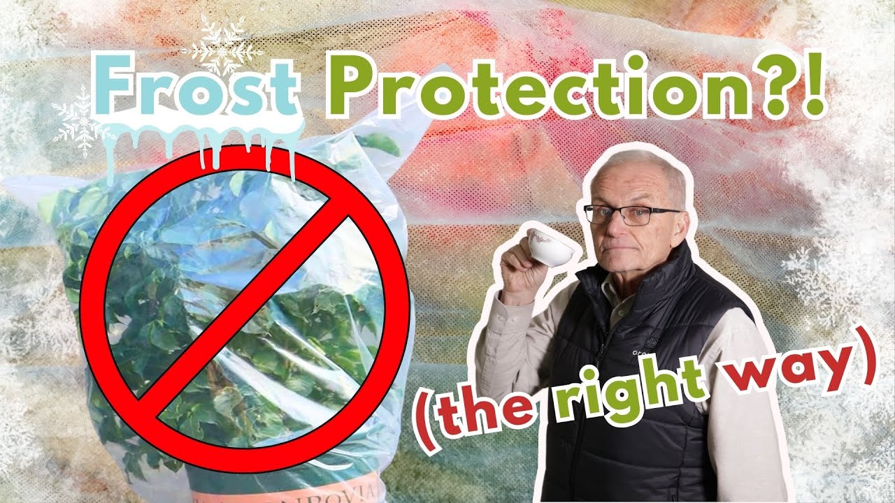 DO THIS for Plant Frost Protection (Plant Cover For Winter) - YouTube