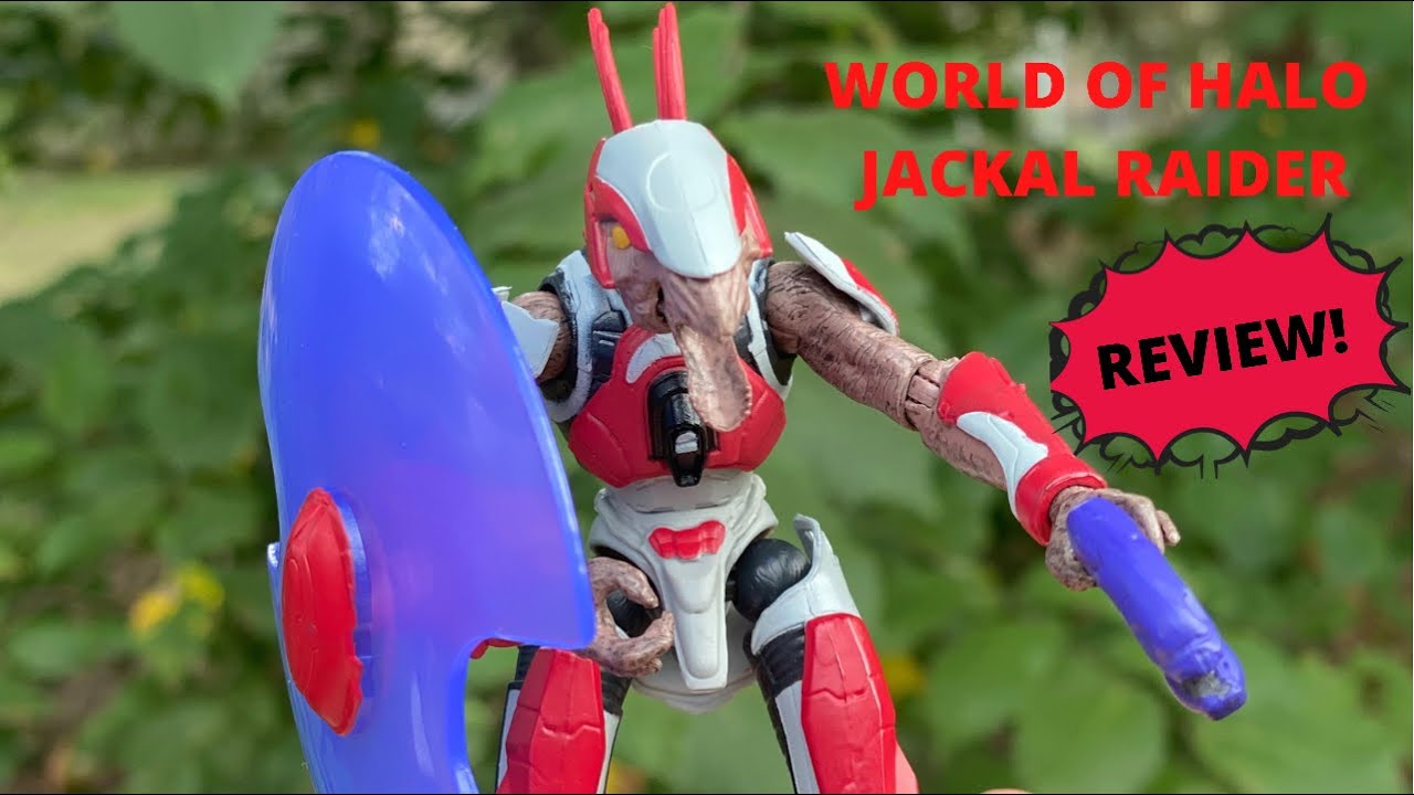 WORLD OF HALO JACKAL RAIDER FIGURE REVIEW! | FROM WAVE 3 | MADE BY ...