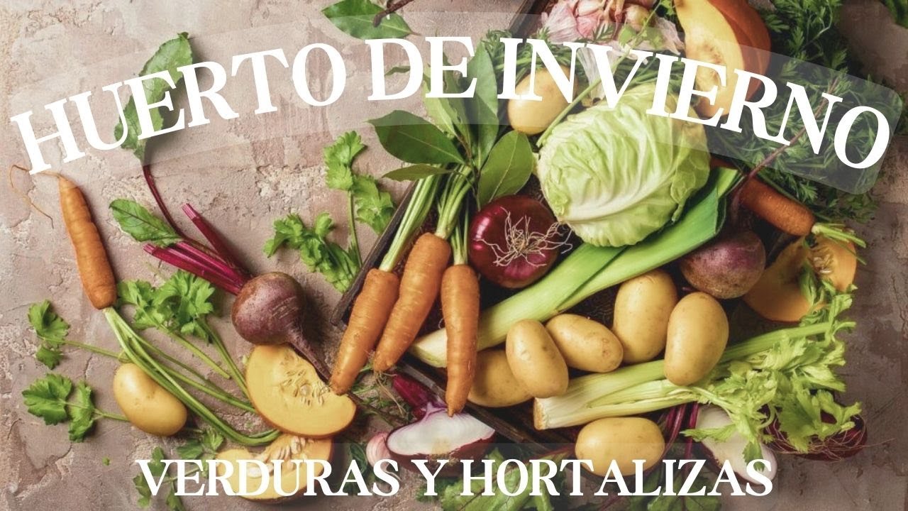 🌱 ️ Huerto de Invierno: Qué Sembrar en Época de Frío. 5 Variedades de ...