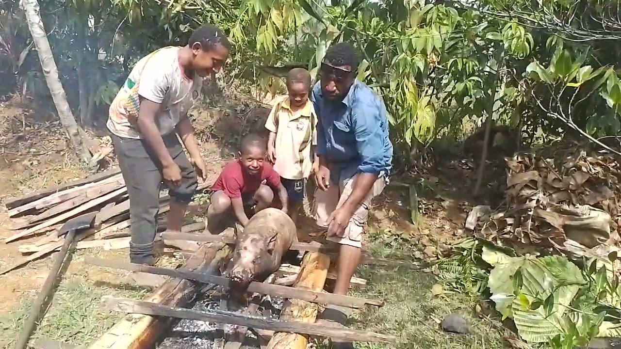 Enga way of cooking pig - YouTube