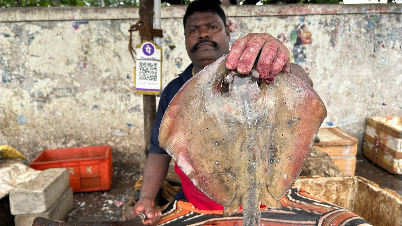 TWO STRINGRAY FISH 🐟 KASIMEDU SPEED SELVAM OUTSTANDING FISH CUTTING ...