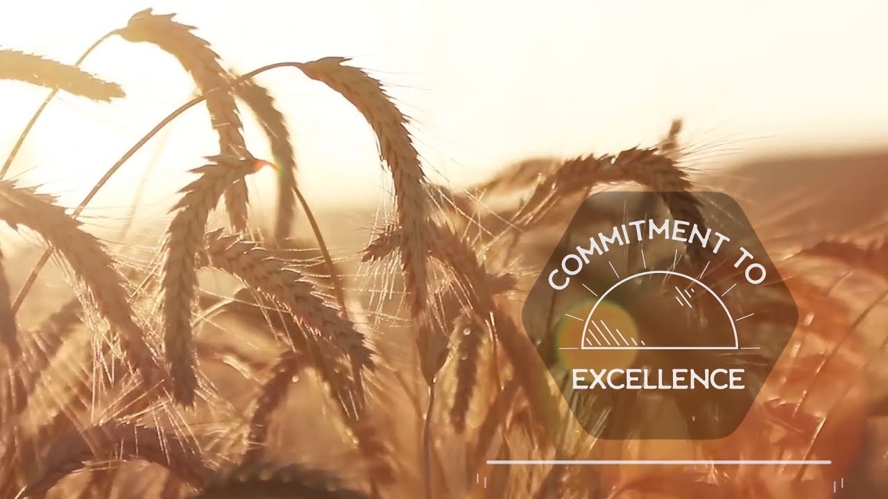 Spirit of Excellence - YouTube