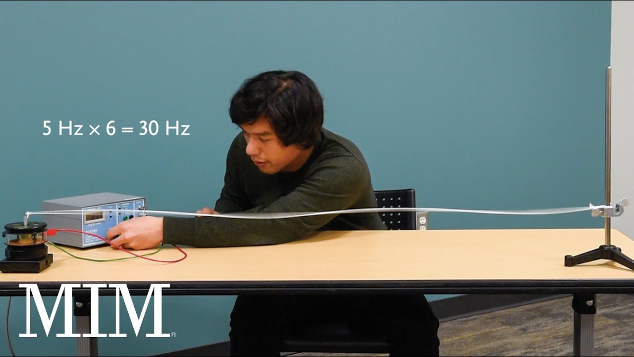 Frequency and Resonance | STEM Demonstration - YouTube