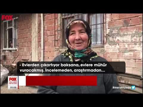 Fatsa'da Altın Madeni için Ağaçları toprakları gitti! FOX Ana Haber