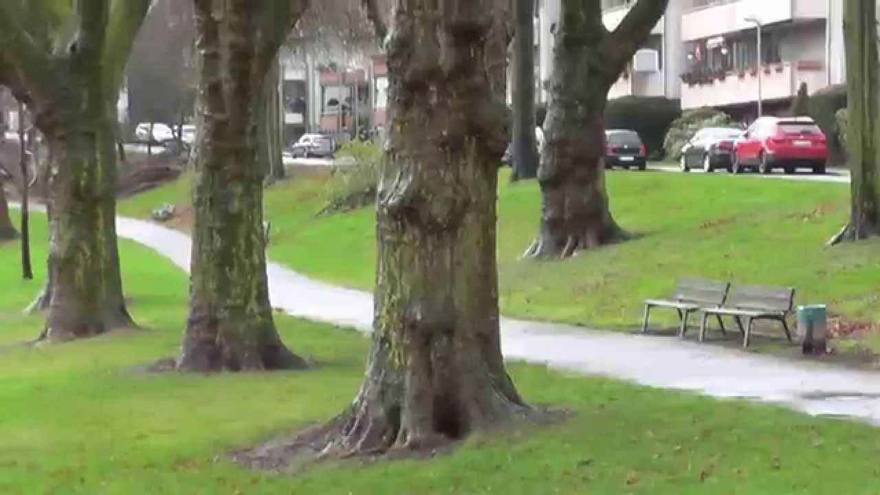 Der Kray Süd Park in Essen-Kray - YouTube