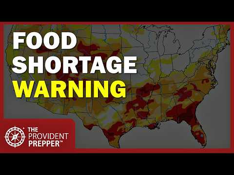 How to Protect Your Family From the Coming Food Crisis (Without Panic)