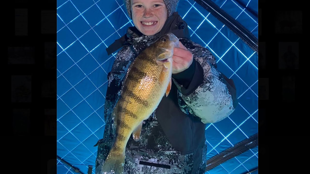 Lake St. Clair perch bite on fire! - YouTube