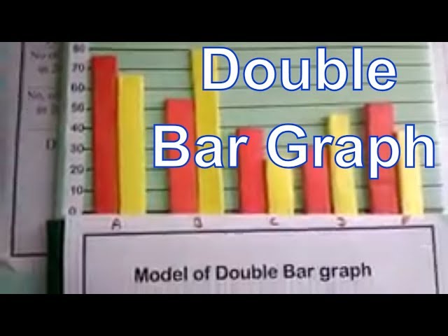 Double Bar Graph 3d