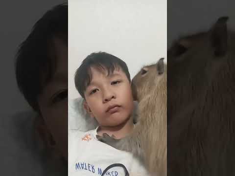 это как очень страшно мне не страшно а очень мило