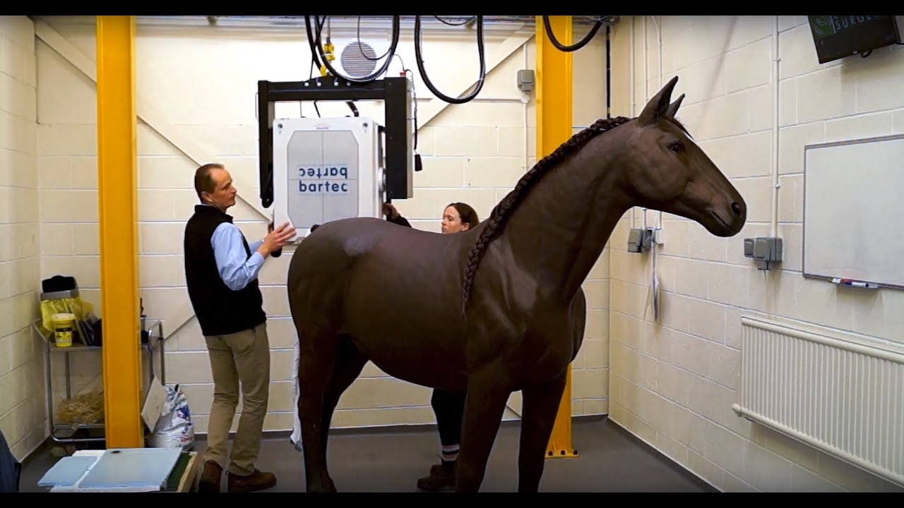 Barn Equine - Anyscan Scintigraphy Testimonial - YouTube