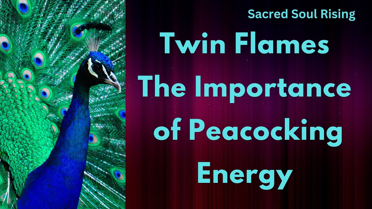 Twin Flames 🔥 The Importance of Peacocking Energy 🦚 - YouTube