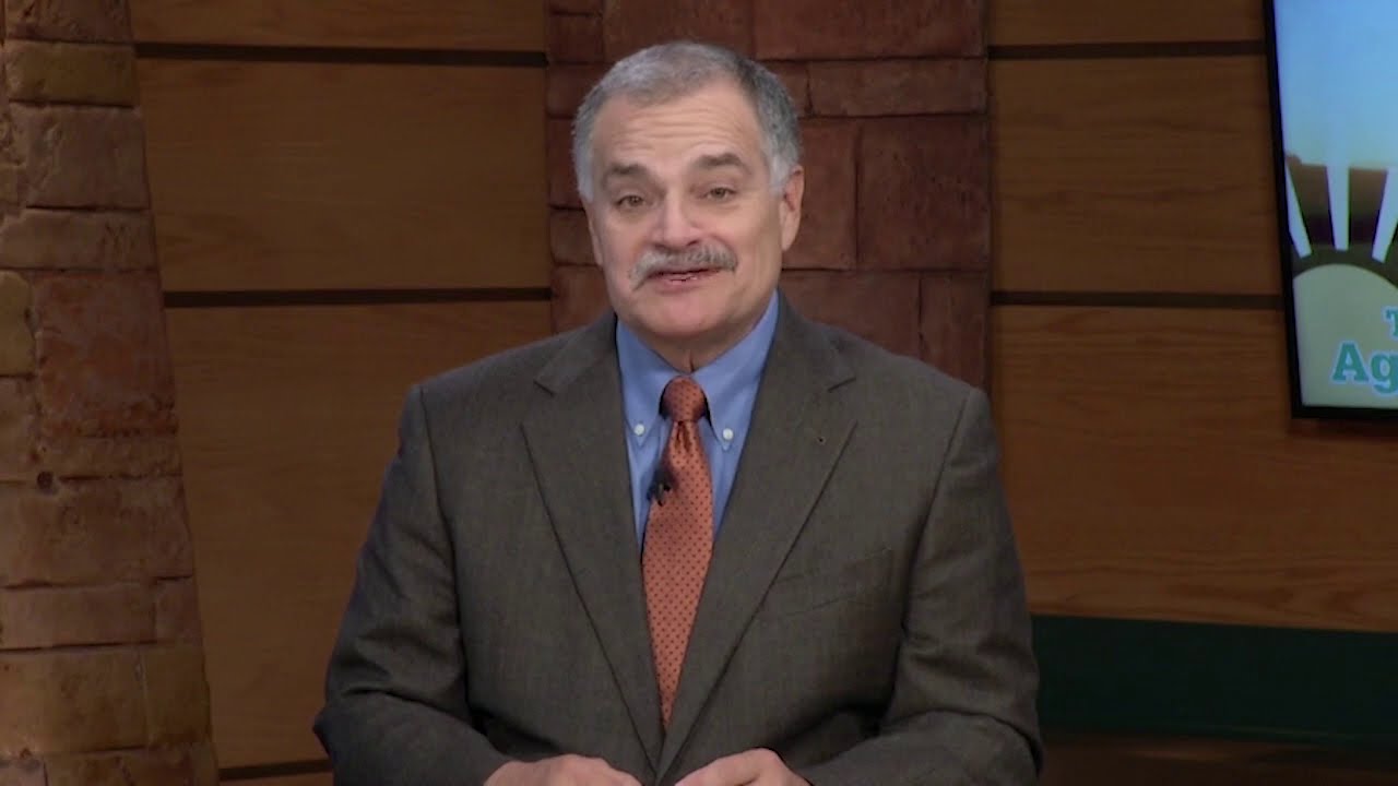 This Week in Agribusiness - December 26, 2020 - YouTube