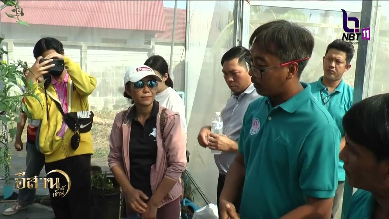 พาณิชย์อุบลฯ นำผู้ซื้อเยี่ยมชมสินค้าเกษตรอินทรีย์ อีสานเช้านี้ NBT UBON 250168 - YouTube