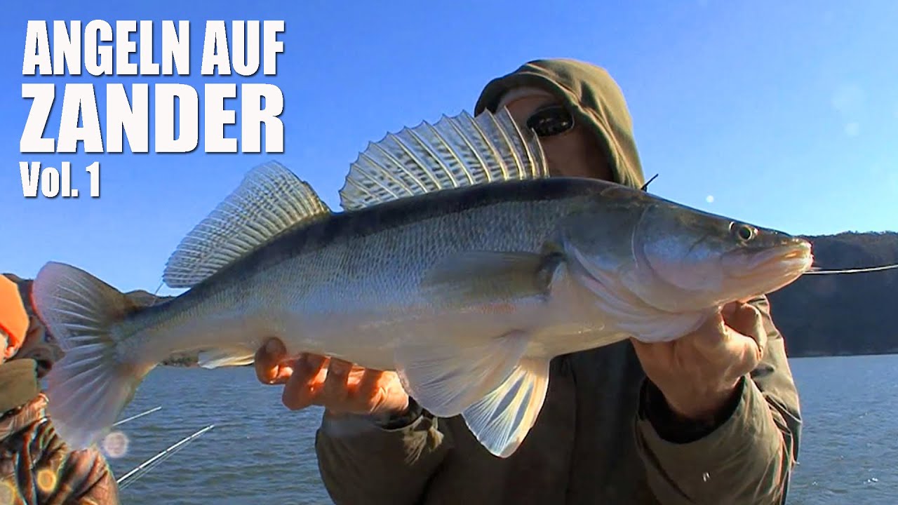 (HD) Angeln auf Zander (1) - YouTube