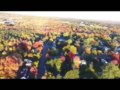 Foliage Status - Bangor Maine October 14th 2016