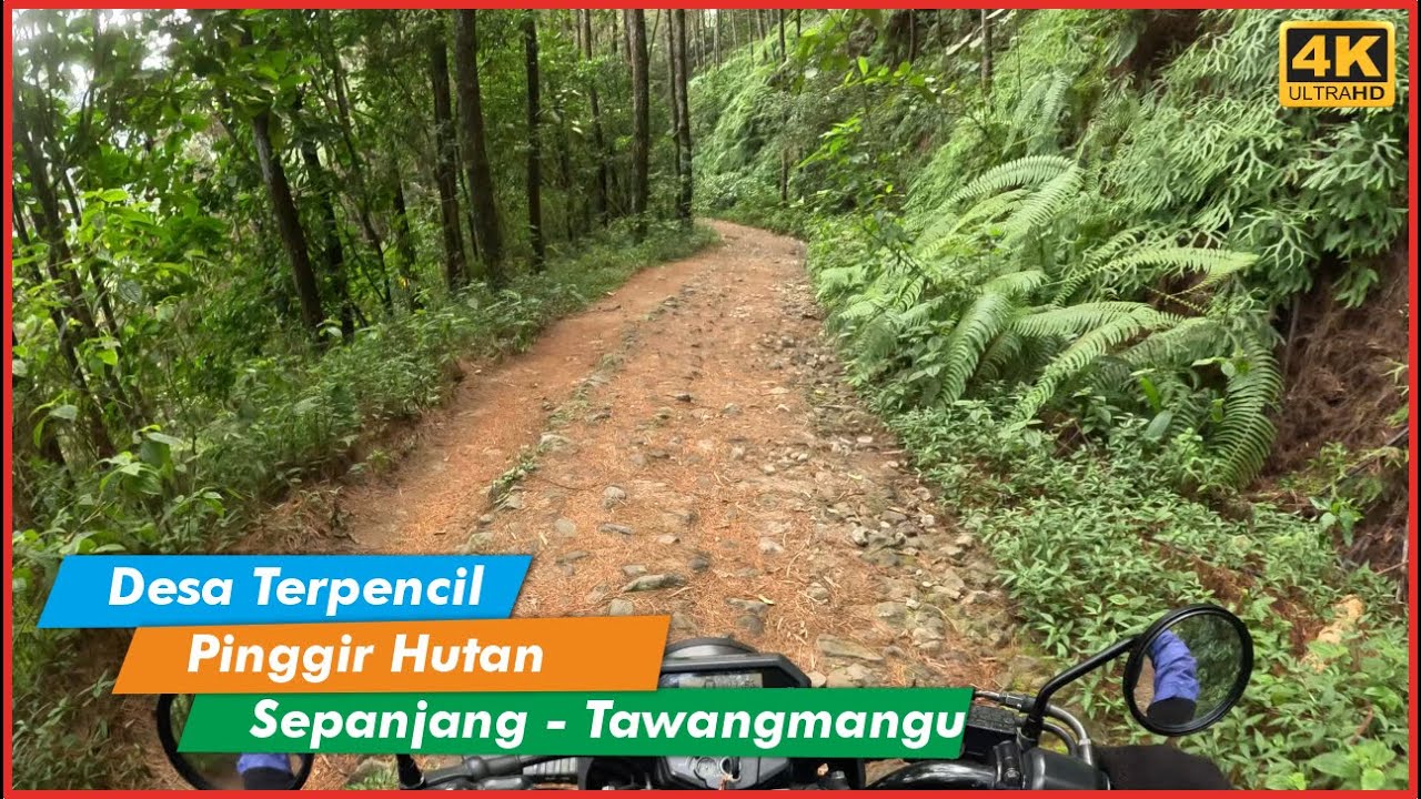 Desa Terpencil Di Pinggir Hutan Pinus Tawangmangu - YouTube