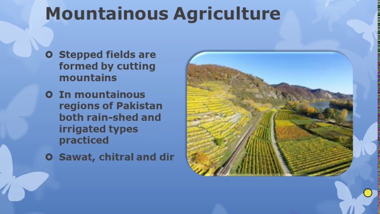 Chapter 7 Lecture 2 Salient Features Of Agriculture Of Pakistan YouTube chapter-7-lecture-2-salient-features-of-agriculture-of-pakistan-youtube