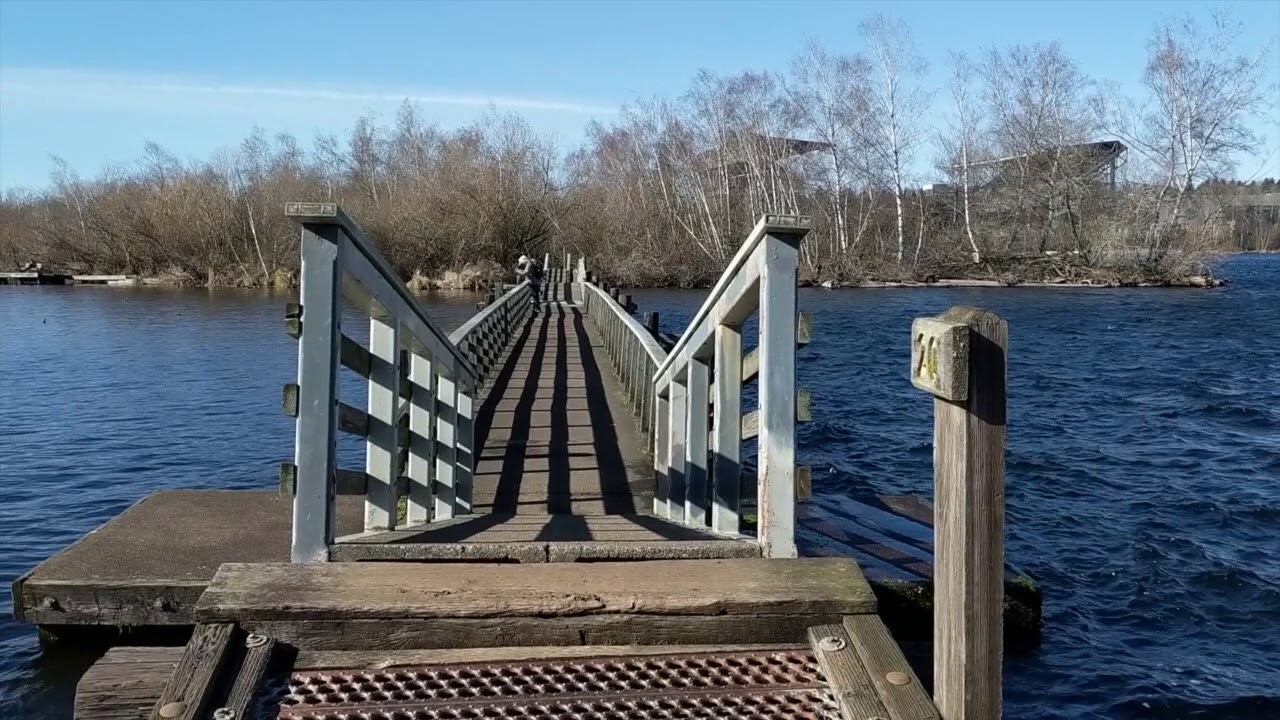 Hidden Seattle: Urban Hike #1 - Foster Island - YouTube