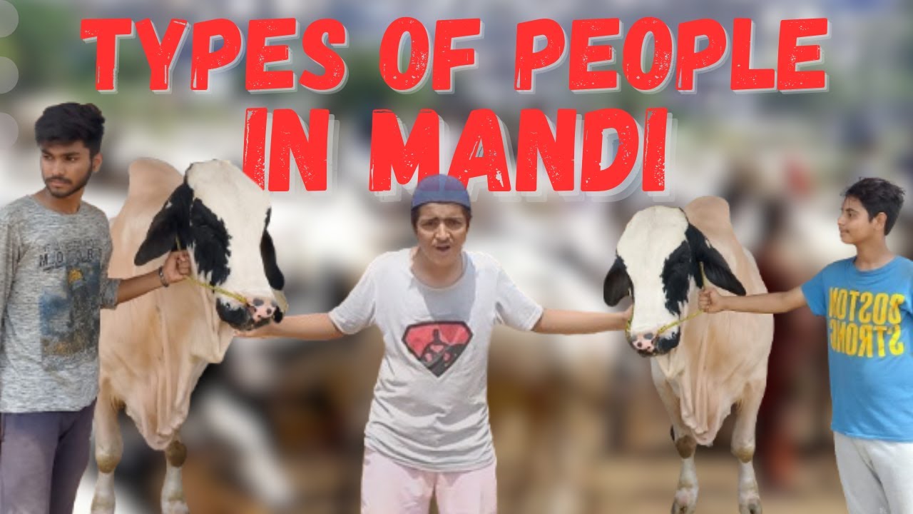 TYPES OF PEOPLE IN MANDI | Mandi Special - YouTube