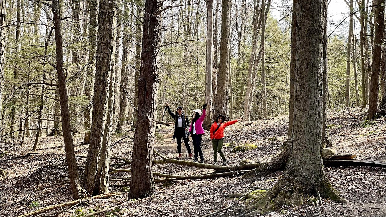 Newmarket, Ontario - Hike The 99 Step Trail - YouTube