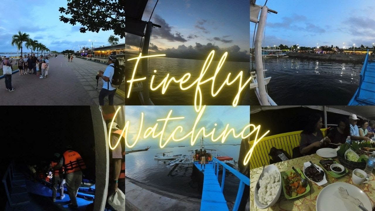 Firefly Watching | Puerto Princesa Palawan | Nyle Leuterio - YouTube