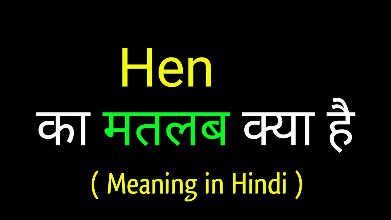 Hen meaning in hindi || Hen ka matlab kya hota hai || word meaning ...