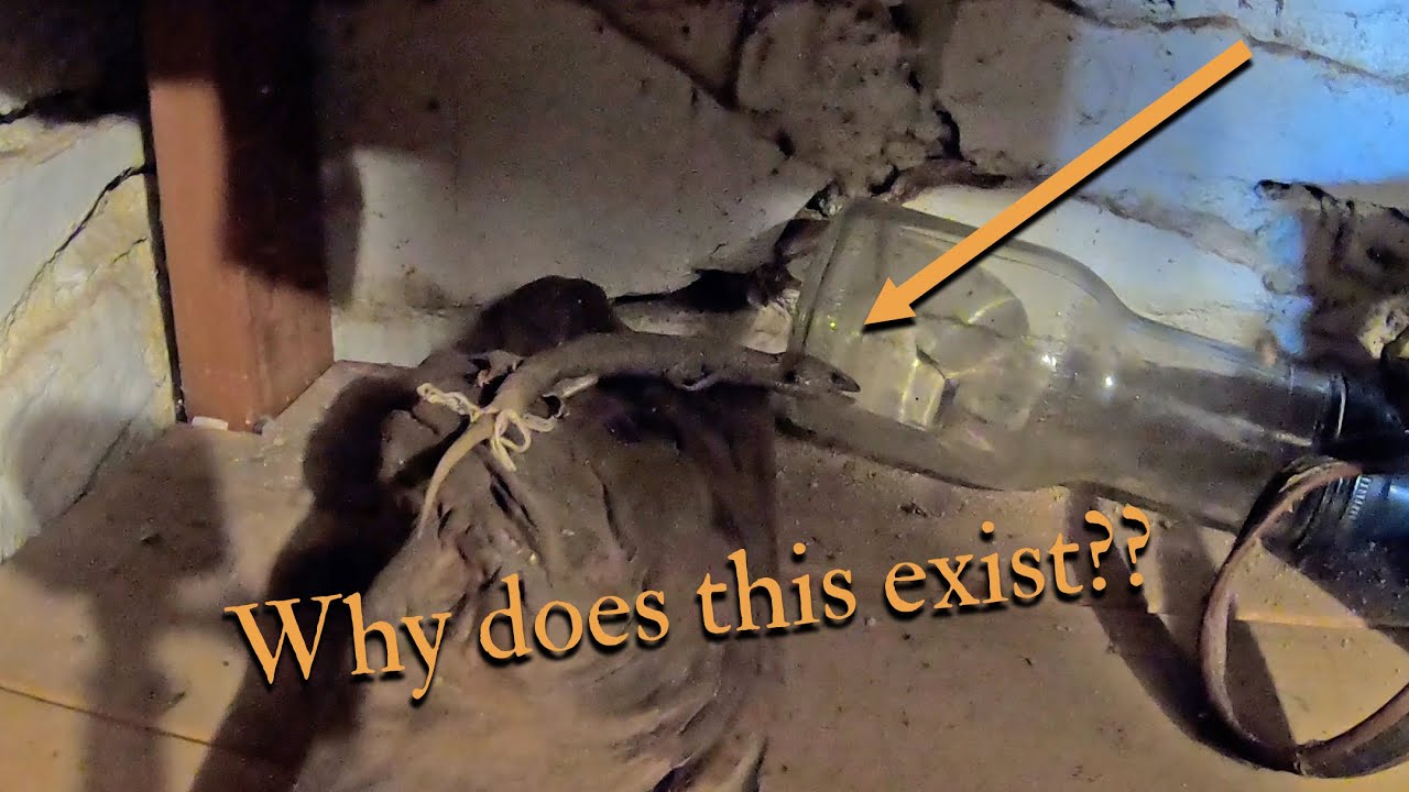 What's in our creepy basement? - Museums from the Inside Out #3 - YouTube